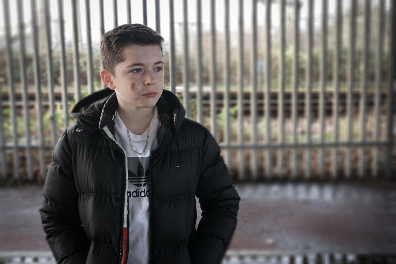 Blossom Tree Portraits