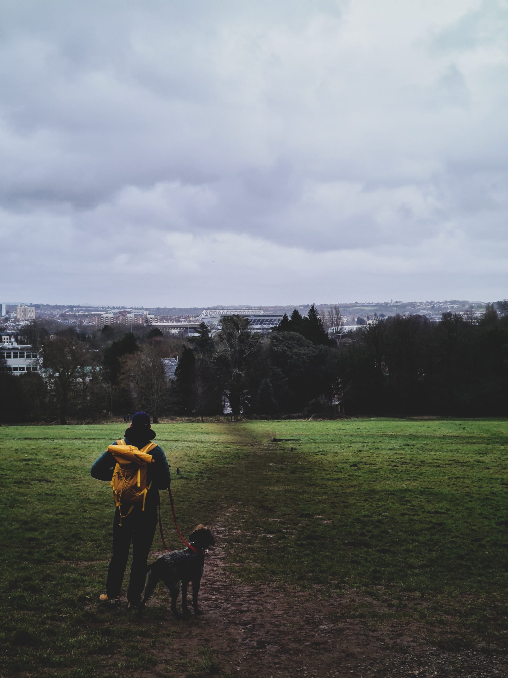 About Blossom Tree Portraits – Blossom Tree Portraits